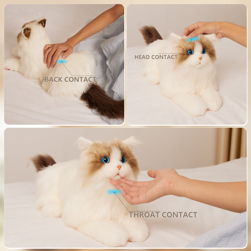 MateCat10 Interactive Cat – Chongker