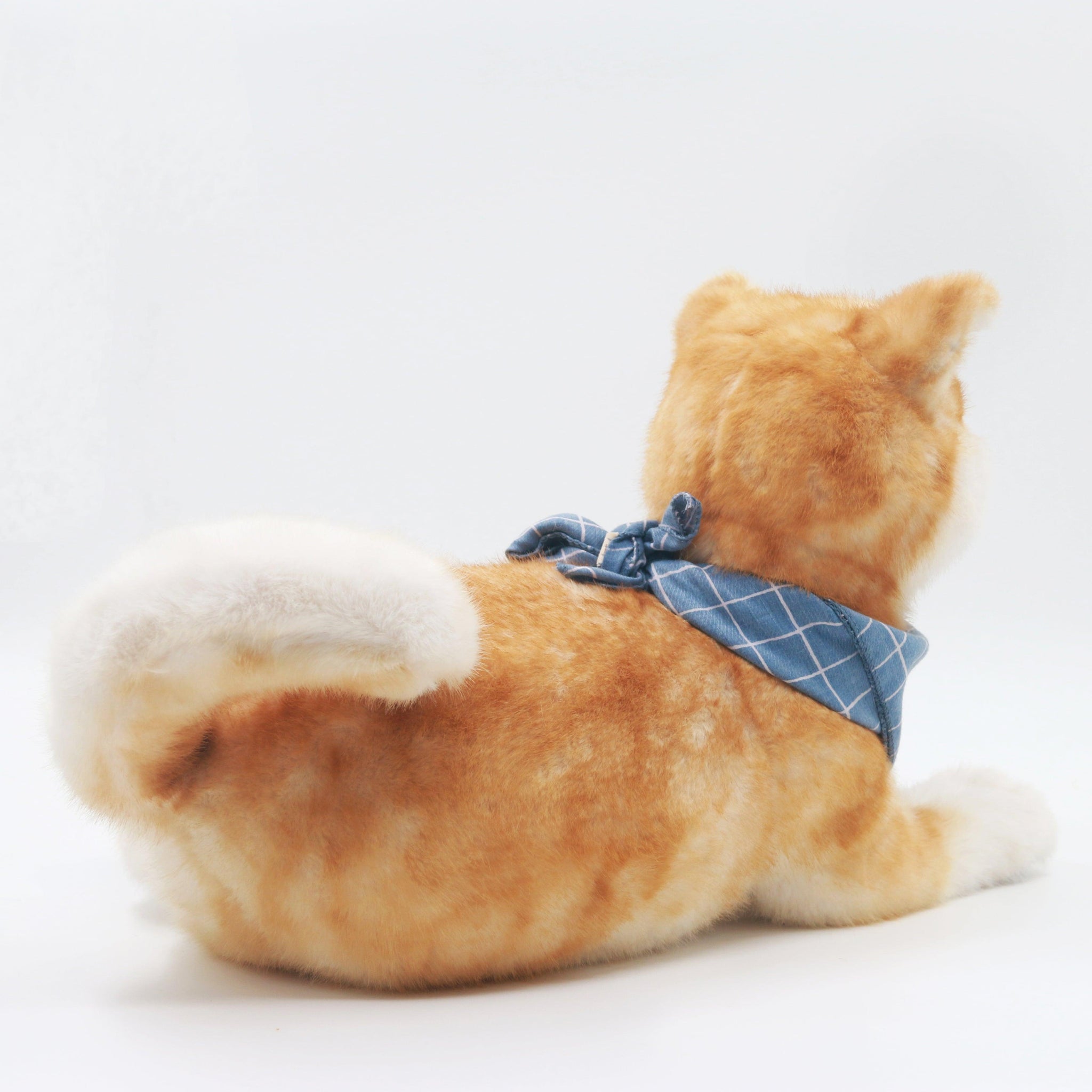 Akita Dog – Chongker
